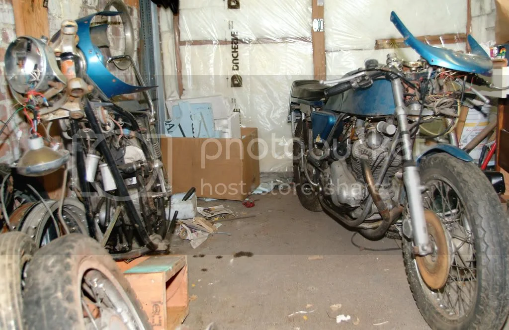 Glorious Home Coming Reunion! | Access Norton